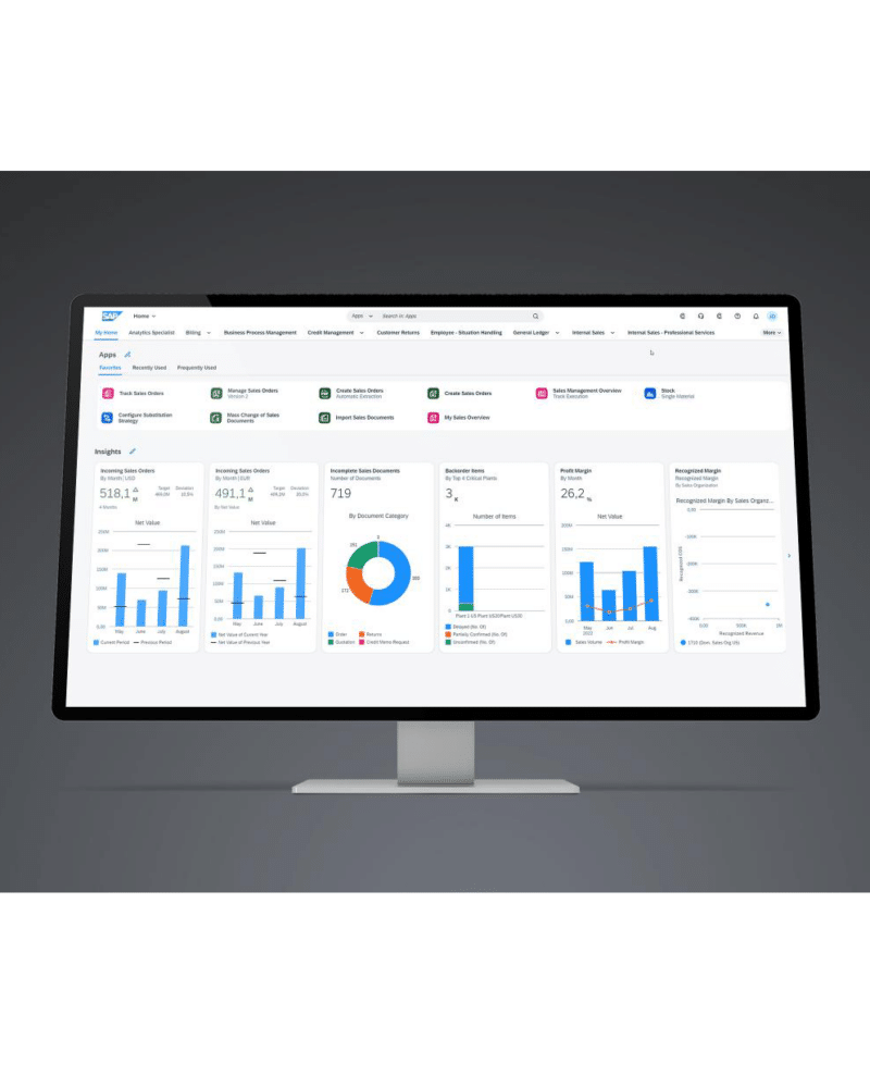 CNT Management Consulting | USA | SAP Consulting